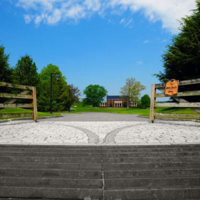 Home - The Olde Farm