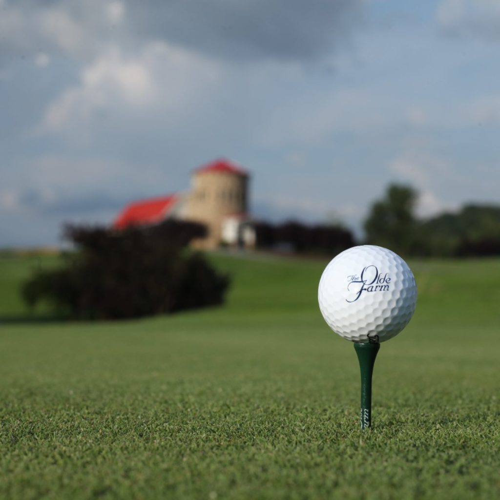 Home - The Olde Farm